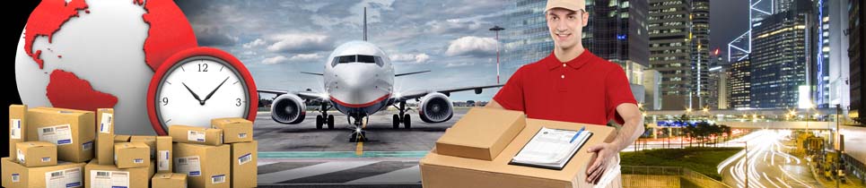 Global Time Critical Delivery - MANITOULIN GROUP OF COMPANIES